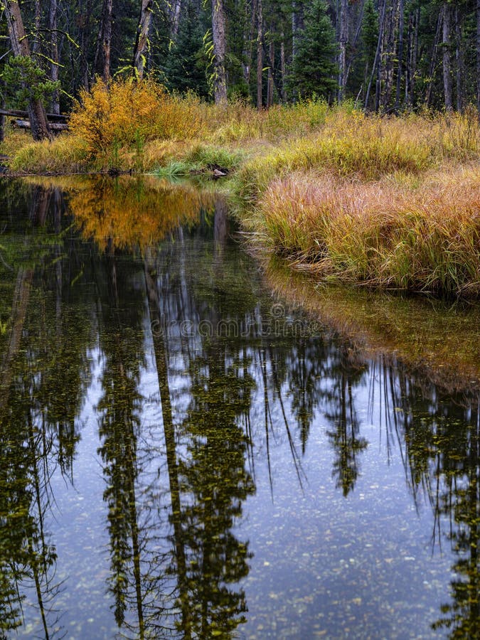 Mountain Steam with Reflection in Autumn Rain Stock Photo - Image of ...