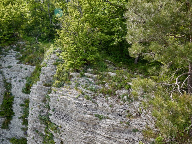 Mountain with a Steep Rocky Slope and Valley with Thick Green Forest ...