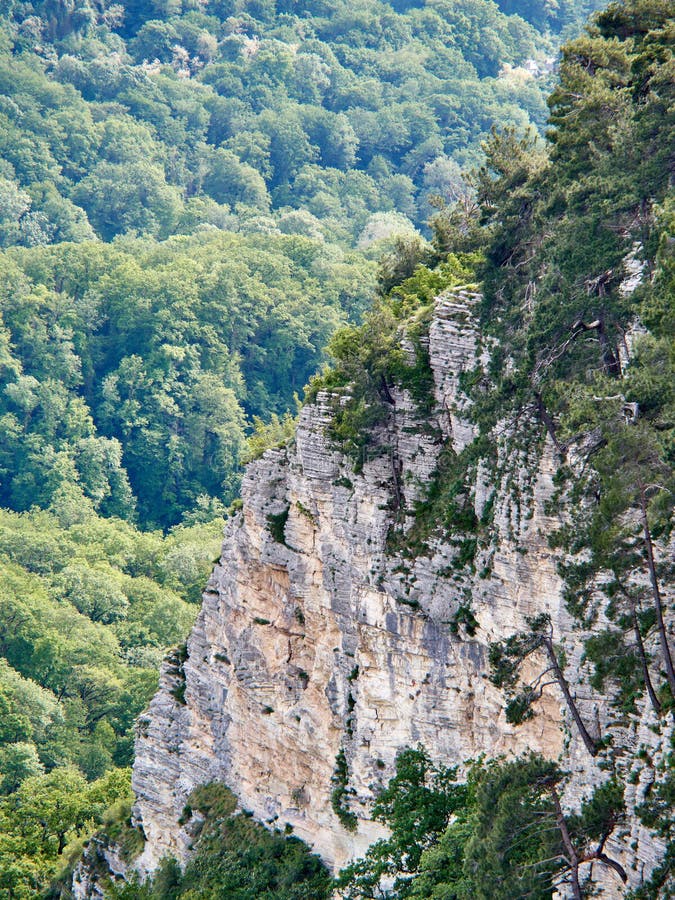 Mountain With A Steep Rocky Slope And Valley With Thick Green Forest ...