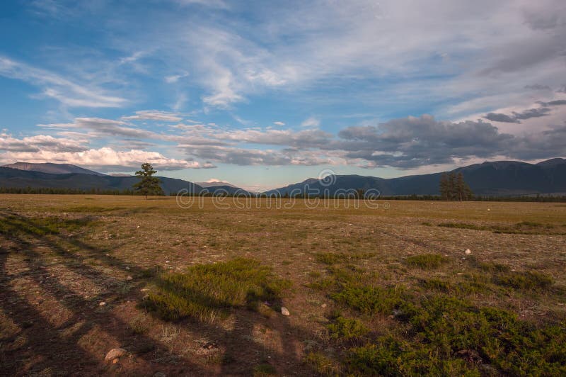 Mountain steppe forest sky stock photo. Image of steppe - 45381512