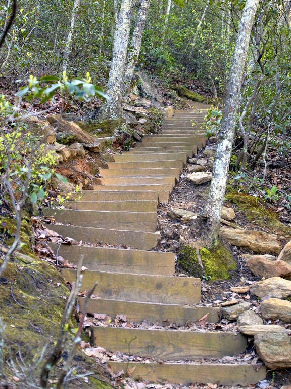 Mountain Steps stock image. Image of carolina, green, path - 141291