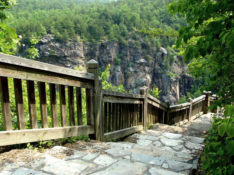 Mountain Steps stock image. Image of carolina, green, path - 141291