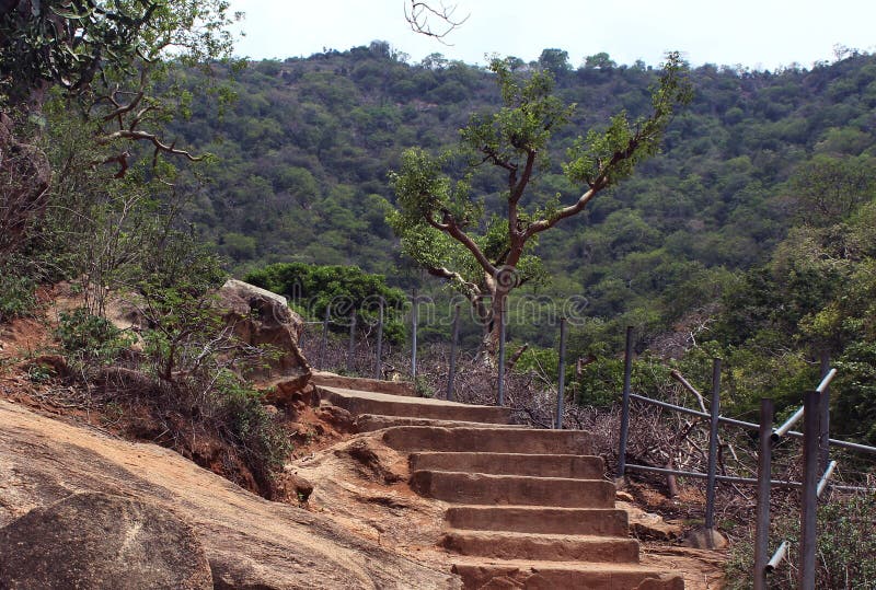 Mountain Steps 2 stock photo. Image of green, trees, hiking - 841914