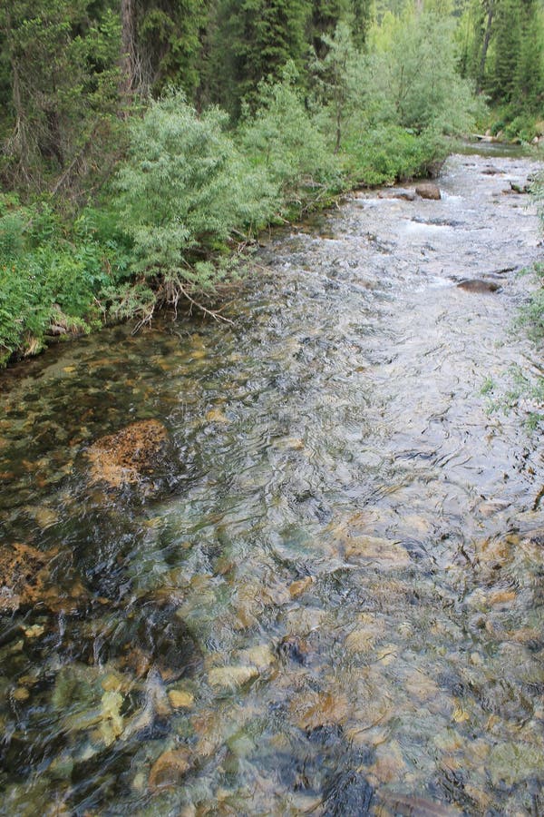 The Mountain Stone River in the Forest Stock Photo - Image of mountain ...