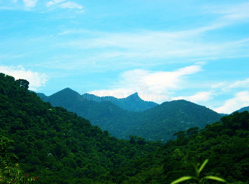 A Marshmellow Mountain Tree with a Blu Sky Stock Photo - Image of ...