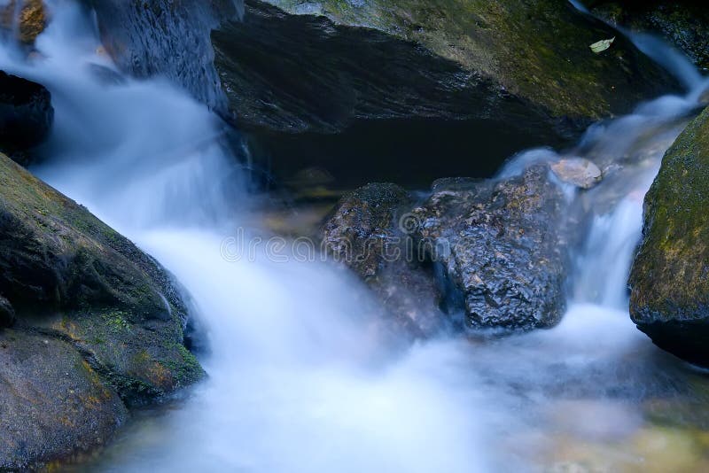 Mountain stream stock photo. Image of nature, green, earth - 13322276
