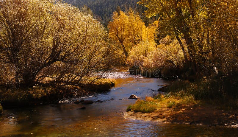 Mountain Stream, Fall Colors Stock Image - Image of plants, mountain ...