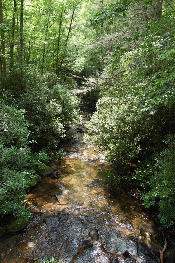 Mountain Stream stock photo. Image of brook, rocky, stream - 16508204