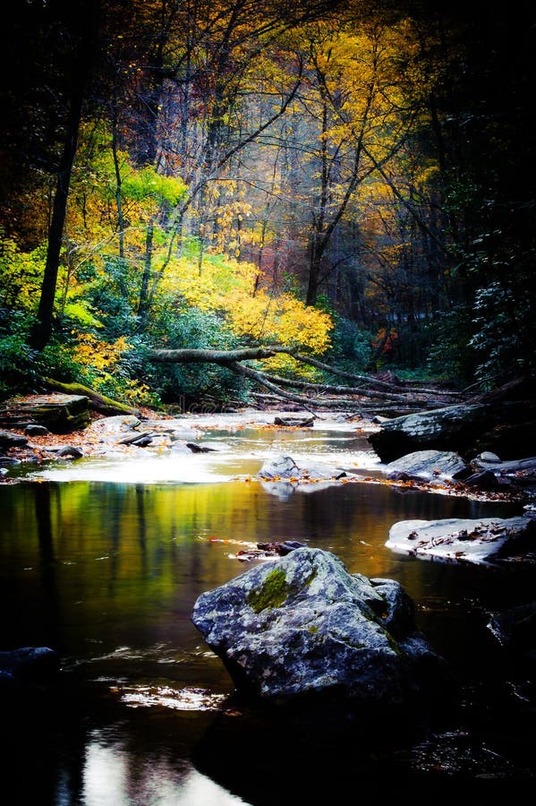Mountain Stream stock photo. Image of carolina, asheville - 16814942