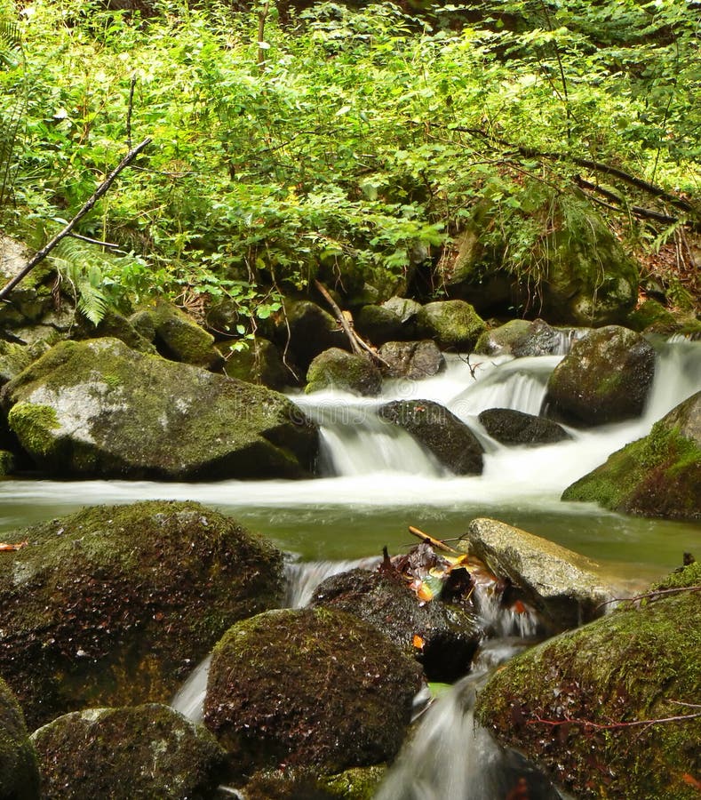 Mountain stream stock image. Image of river, spring, landscape - 1744129