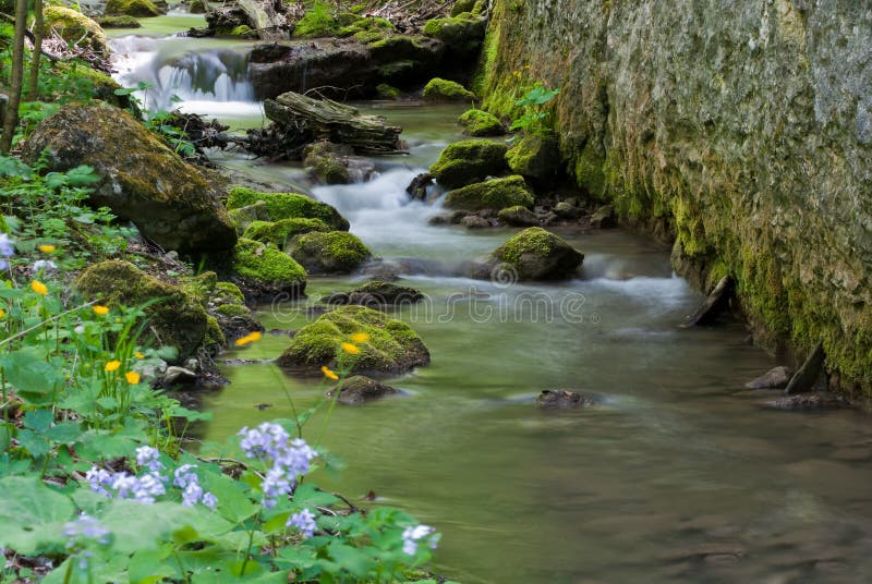 Mountain stream stock image. Image of forest, nature - 18924337