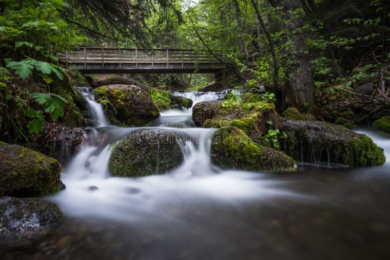 Cool Mountain Stream Flowing through Green Forest Stock Photo - Image ...