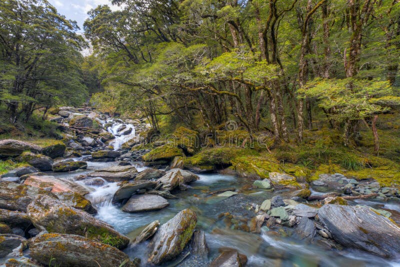 Mountain Stream stock photo. Image of stones, blue, leaves - 19590508