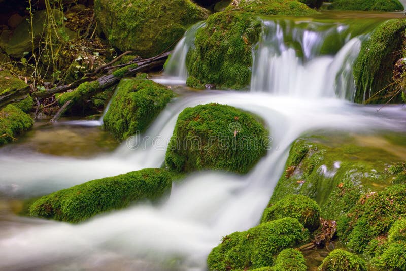Mountain stream stock photo. Image of nature, flowing - 19792794