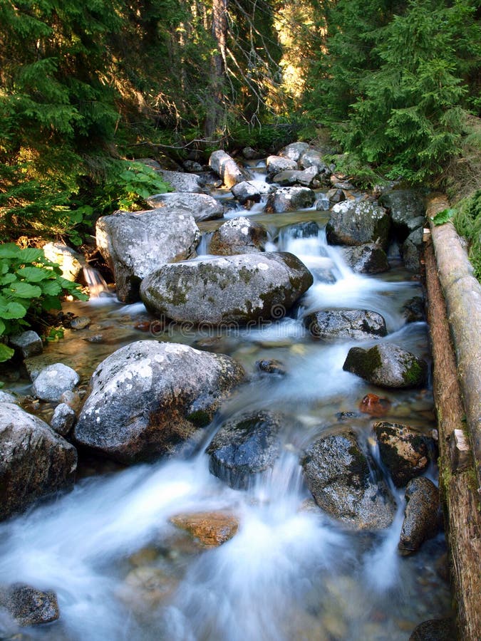 A mountain stream stock photo. Image of wild, long, clean - 19913722