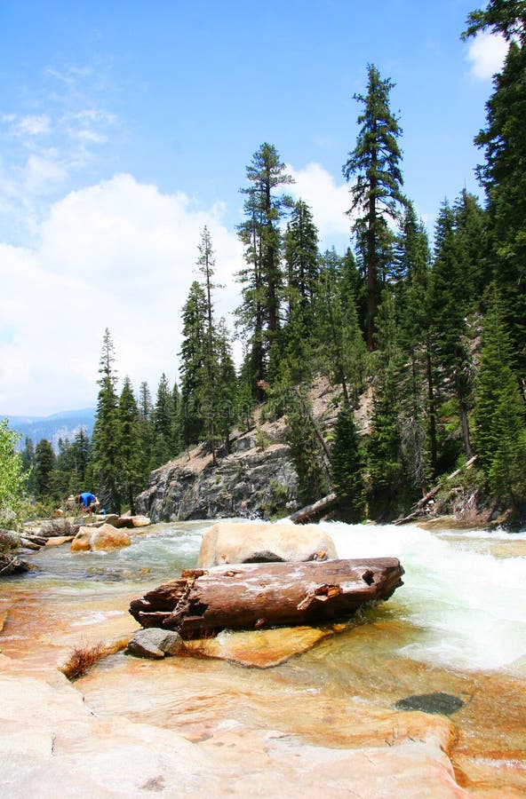 Mountain Stream stock image. Image of waterfall, yosemite - 2442073