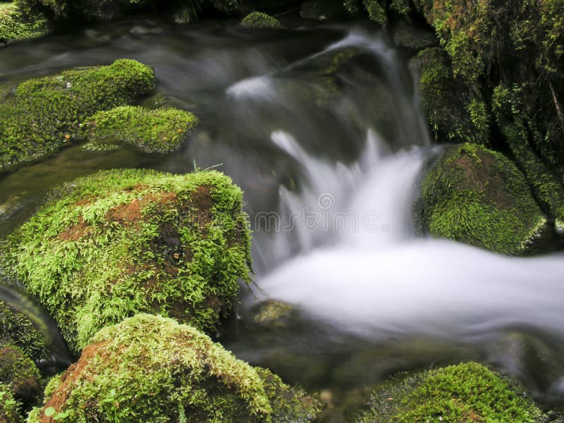 Mountain Stream stock photo. Image of scenery, light - 24438036