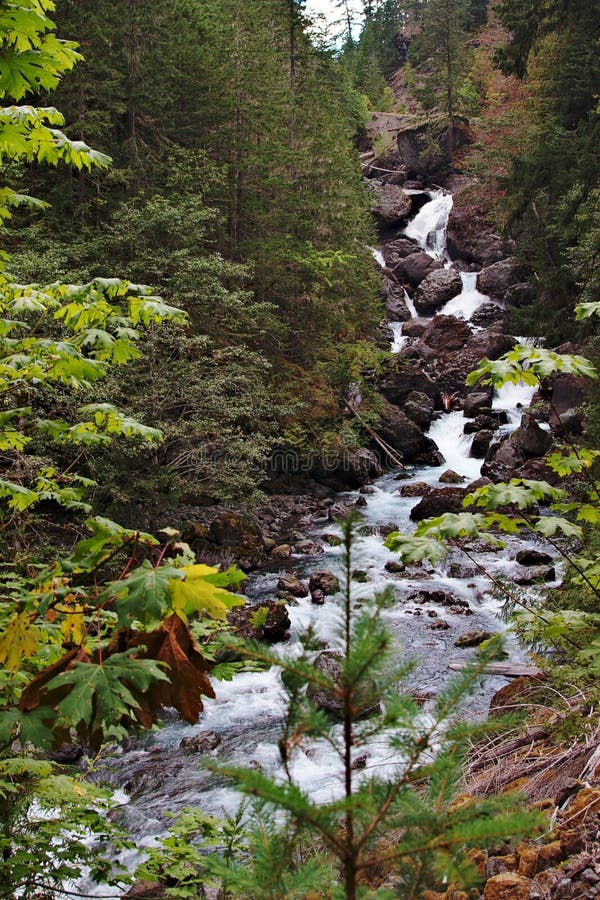 Mountain Stream stock image. Image of water, nature, olympics - 3271247