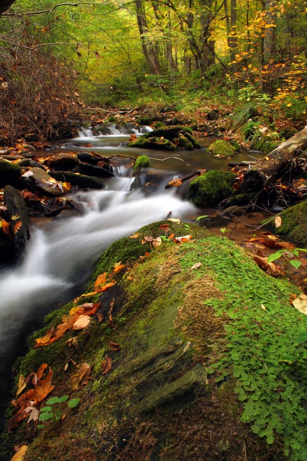 Mountain stream in fall stock image. Image of forest - 28702029