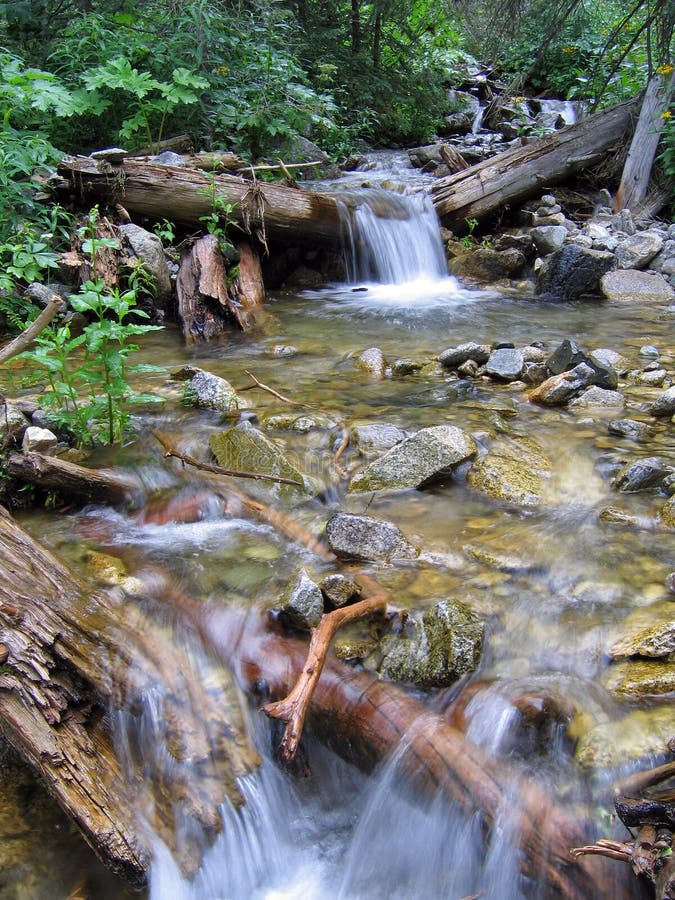 Mountain stream stock photo. Image of fresh, verdant, nature - 4000090