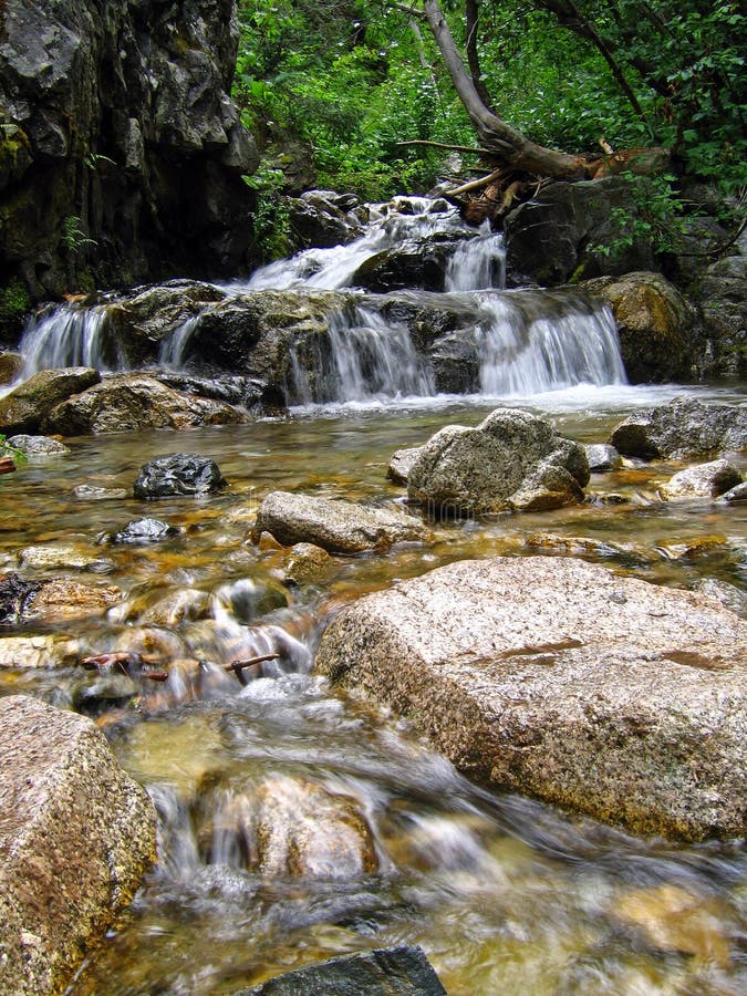 Mountain Stream stock photo. Image of summer, wood, stream - 4365070