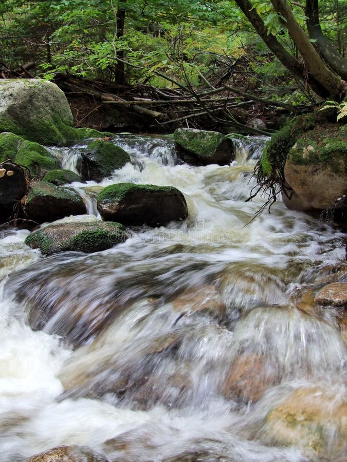 Water Stream Running Over Rocks. Cherry Creek in Denver Stock Image ...
