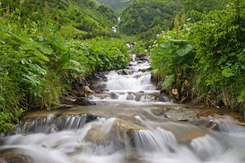 Mountain Stream stock photo. Image of summer, grass, stream - 5542414