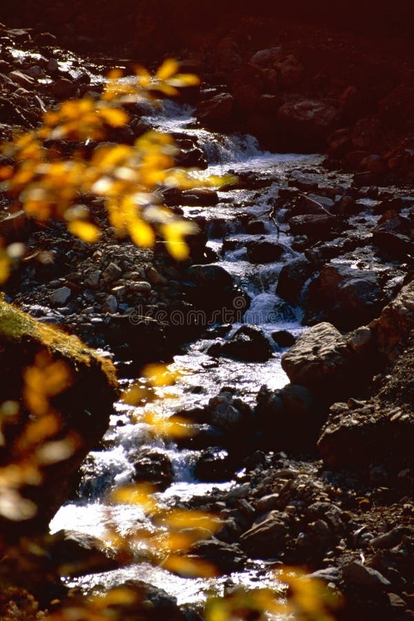 Mountain stream stock photo. Image of fall, range, quiet - 7718874