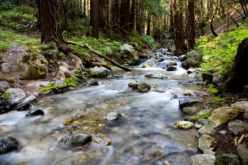 Mountain stream stock photo. Image of nature, stones, stream - 617402