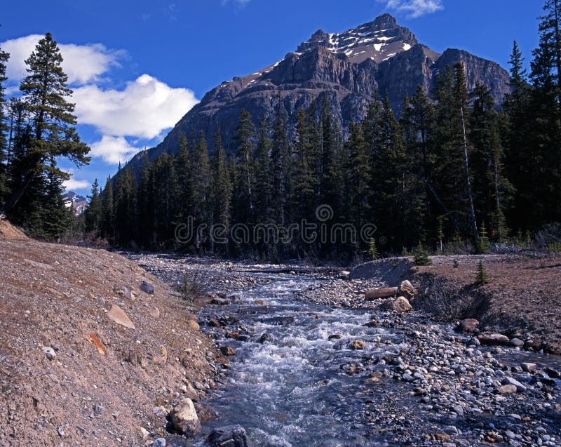 Mountain Stream, Alberta, Canada. Stock Image - Image of holiday ...