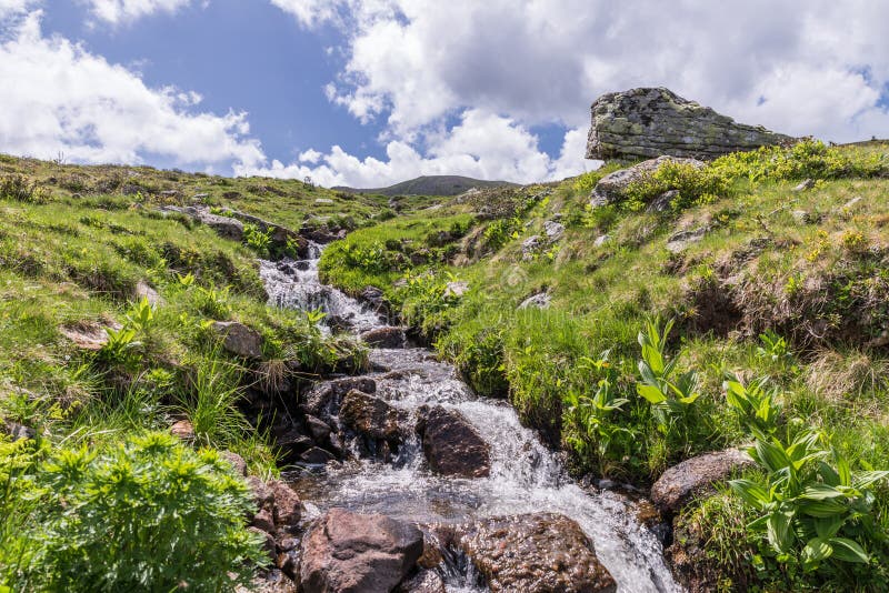 Mountain Stream in the Alps, Austria Stock Image - Image of environment ...