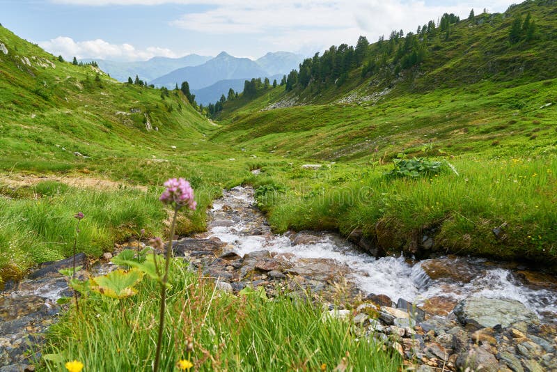 Mountain Stream As a Source of Fresh Water in the Mountains Stock Image ...