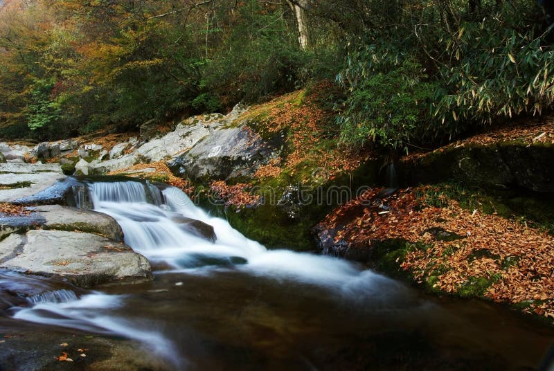 Mountain stream in autumn stock photo. Image of trees - 16819406
