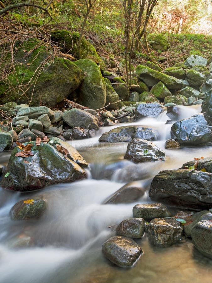 Mountain Stream in Autumn, Fall. Stock Photo - Image of seaon, vertical ...