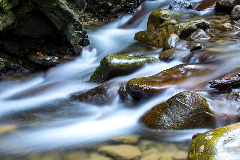 Mountain Stream in Autumn Forest Stock Photo - Image of season ...