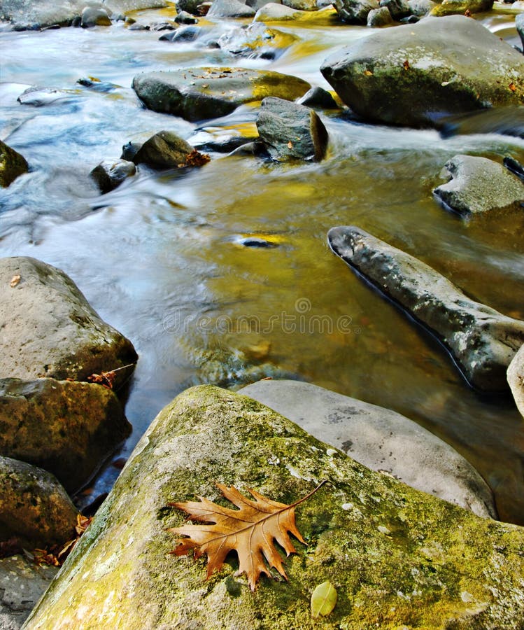 Mountain Stream Cascading Over Rocks Stock Image - Image of outdoors ...