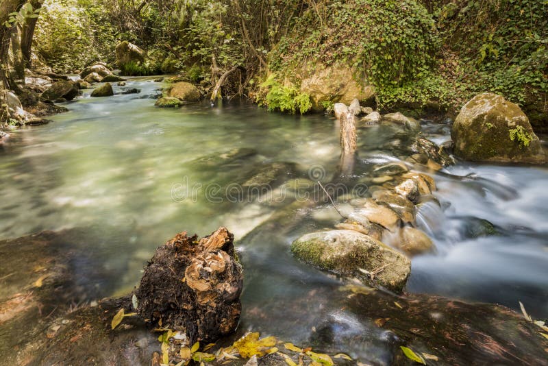 Mountain Stream of Clean and Clear Waters Flowing between Rocks Stock ...