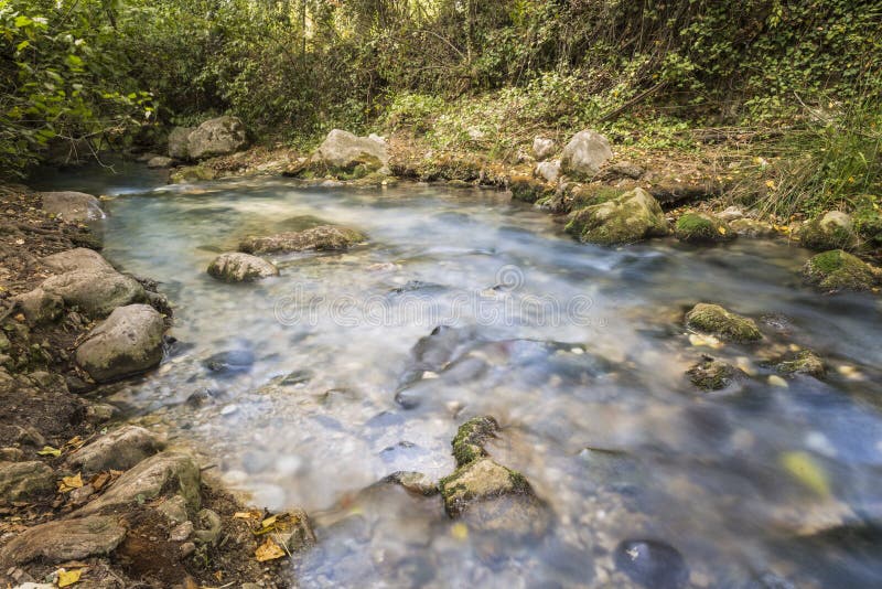 Mountain Stream of Clean and Clear Waters Flowing between Rocks Stock ...