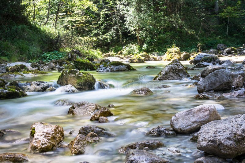 Mountain Stream with Clear Water Stock Image - Image of nature ... Mountain Stream with Clear Water Stock Image - Image of nature ...