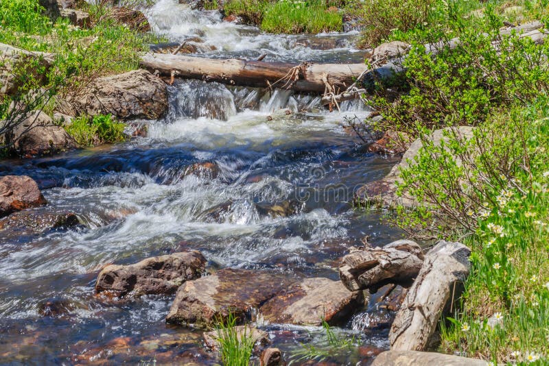 Mountain Stream stock image. Image of speedy, cascade - 73860753