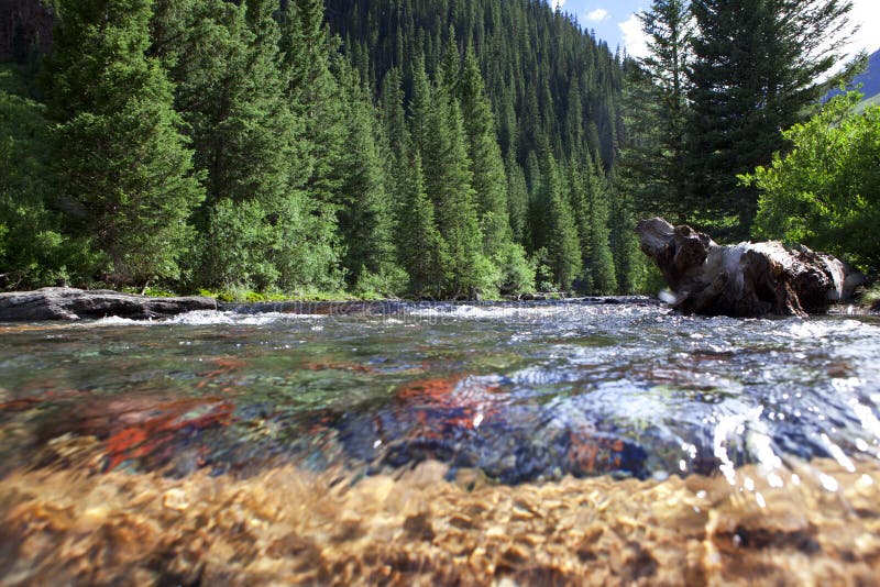 Mountain Stream in Colorado Stock Photo - Image of creek, clear: 15375548