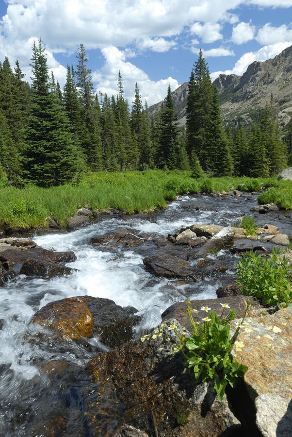 Mountain Stream in Colorado Rocky Mountains Stock Photo - Image of ...