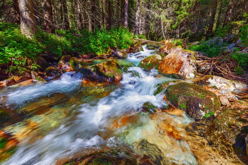 Mountain Stream with Crystal Clear Water in the Forest and Sun Shining ...