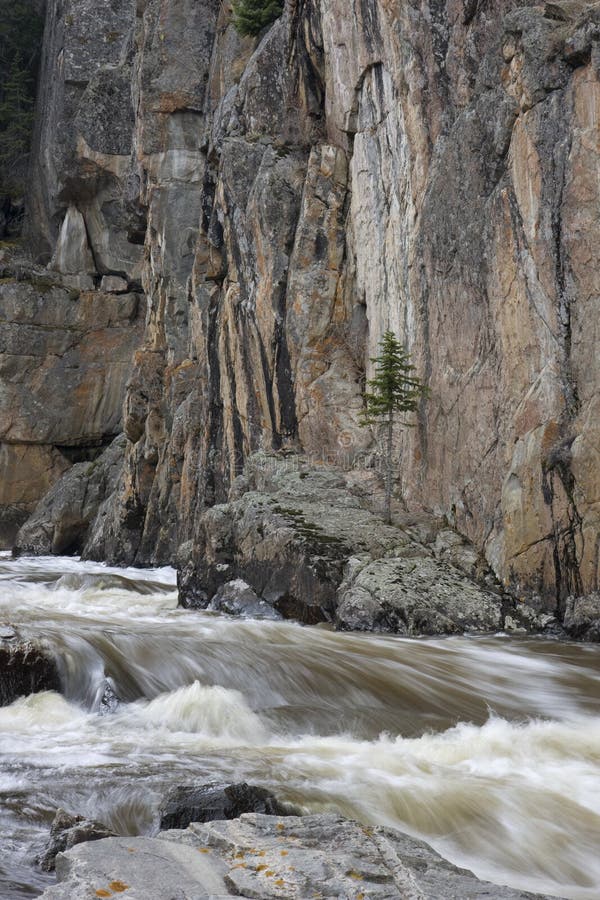 Mountain Stream in a Deep Canyon Stock Photo - Image of wall, granite ...