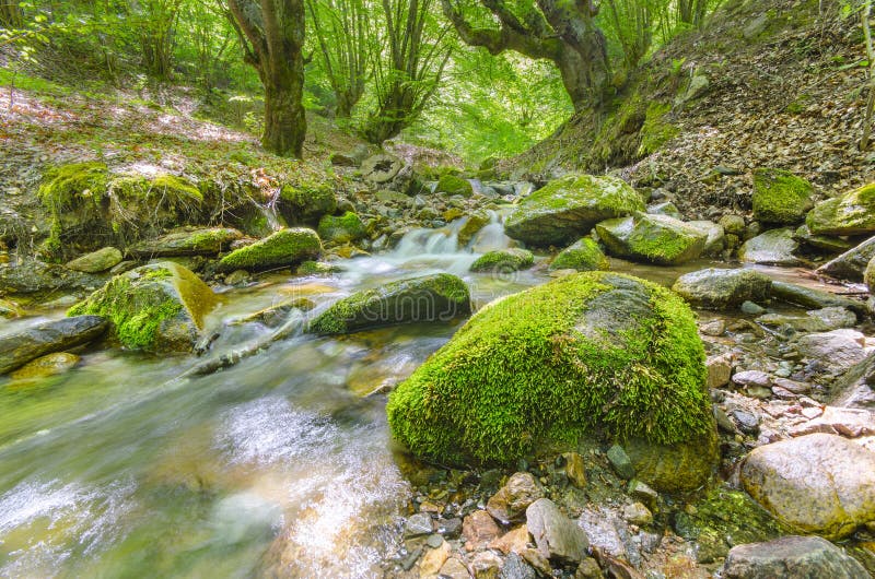 Mountain stream stock image. Image of borjomi, daylight - 42154823