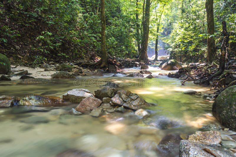 Mountain stream stock photo. Image of ascent, spring - 33430698