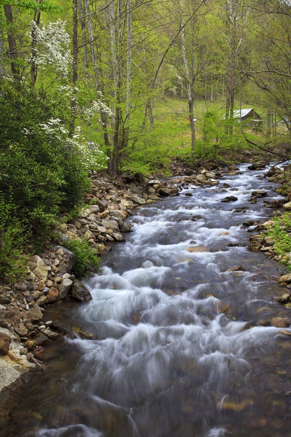 Mountain Creek in the Spring Stock Image - Image of rocks, flow: 30174349