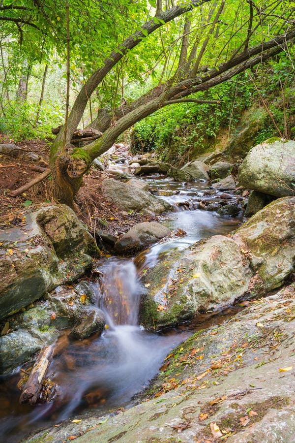 Wilderness, Ecosystem, Vegetation, Mountain Picture. Image: 112058215