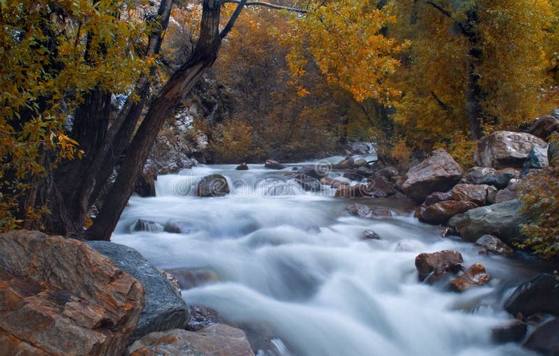 Mountain stream at fall stock image. Image of foliage - 1286277
