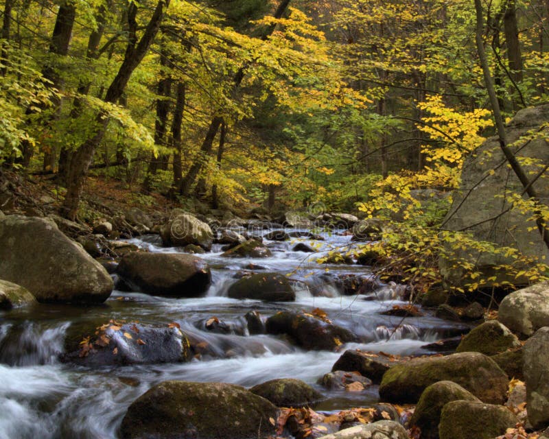 Mountain stream in fall stock image. Image of forest - 28702029
